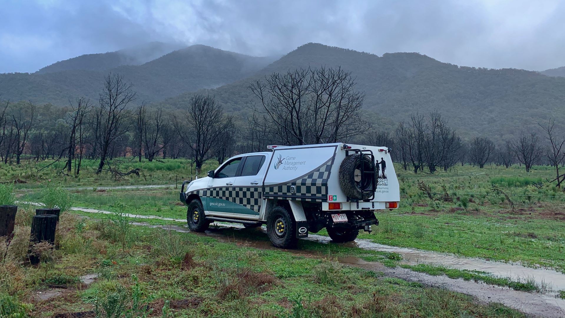 Purpose and vision - Game Management Authority