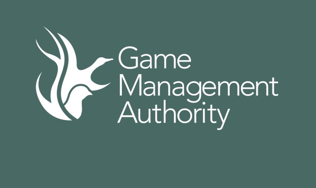 New GMA board director appointment - Game Management Authority